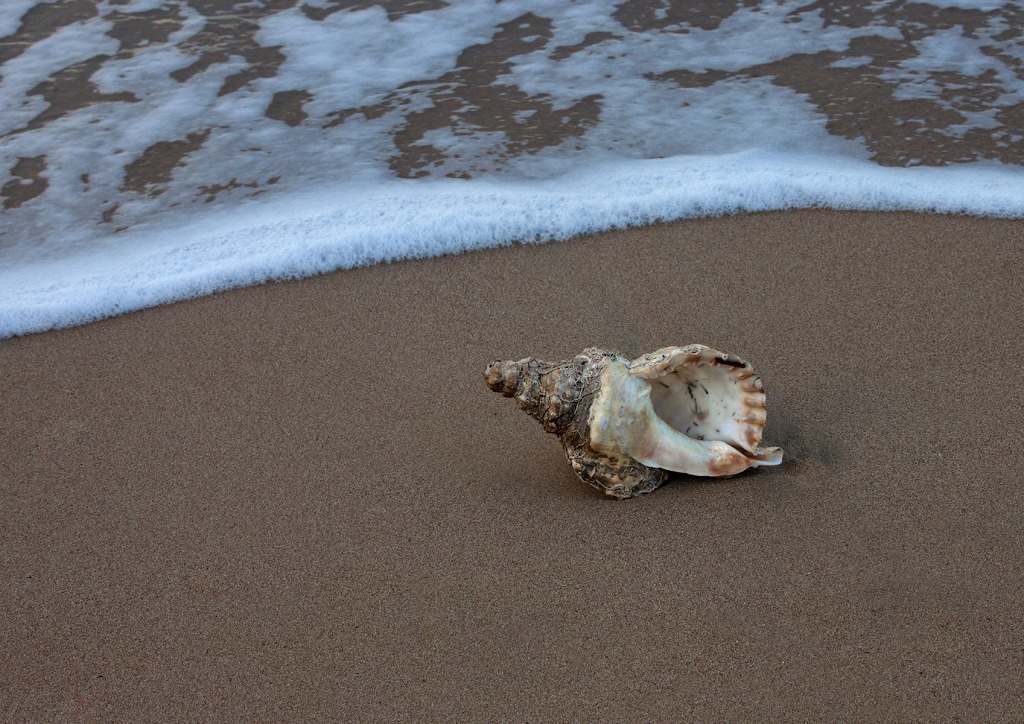 Spuma: dizionario, significato e curiosità
