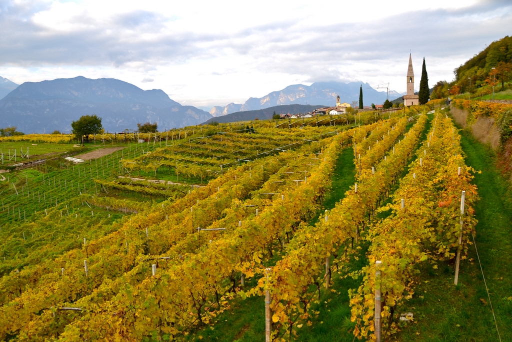 Vigo Meano - Dizy Foto