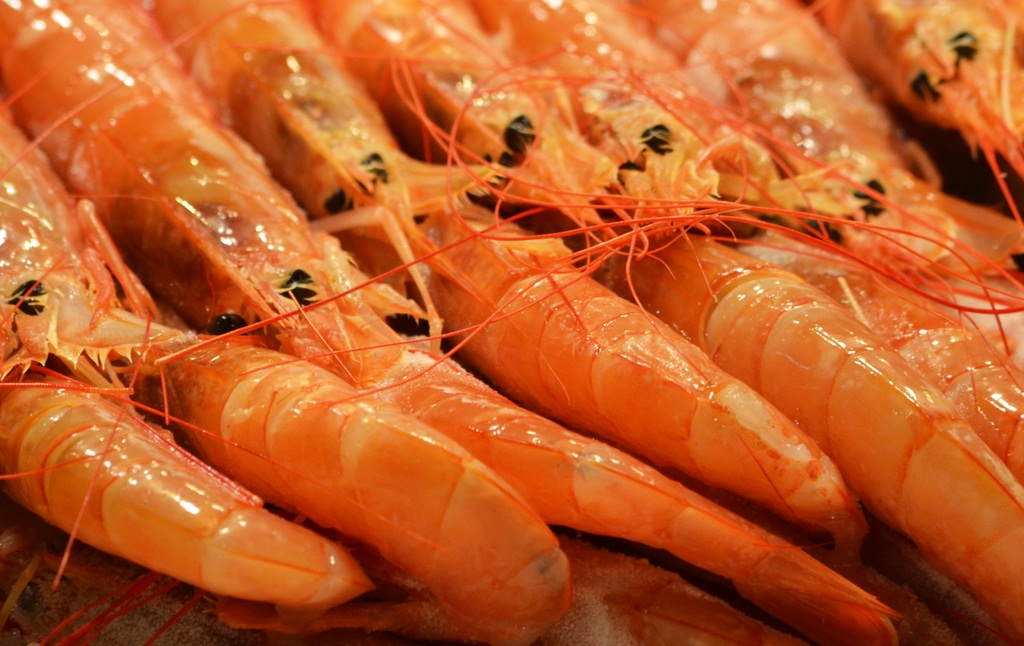 Crostacei: dizionario, significato e curiosità