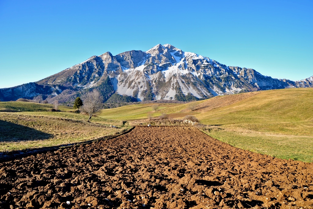 Aratura: dizionario, significato e curiosità