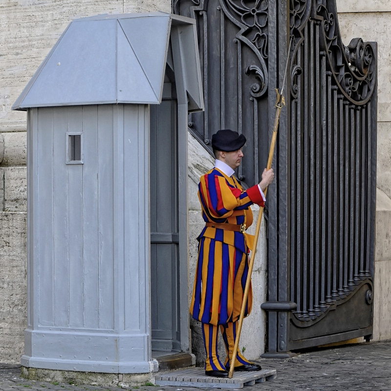 Sentinella: dizionario, significato e curiosità