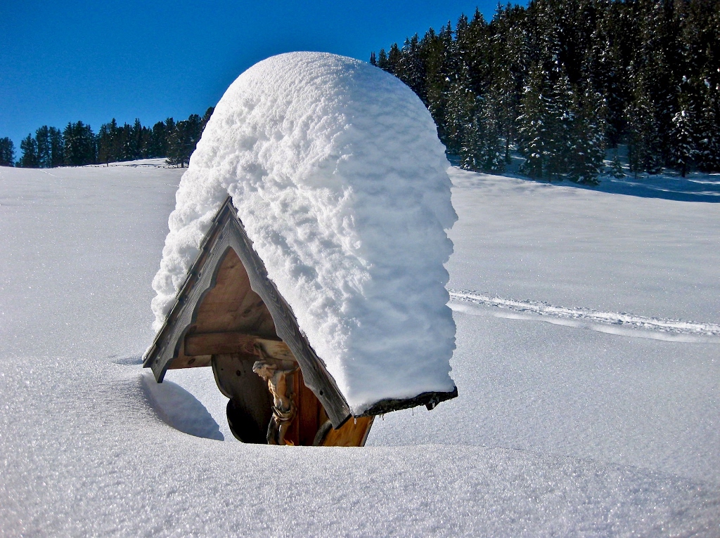 Invernale: dizionario, significato e curiosità
