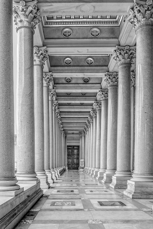 Acanto: dizionario, significato e curiosità