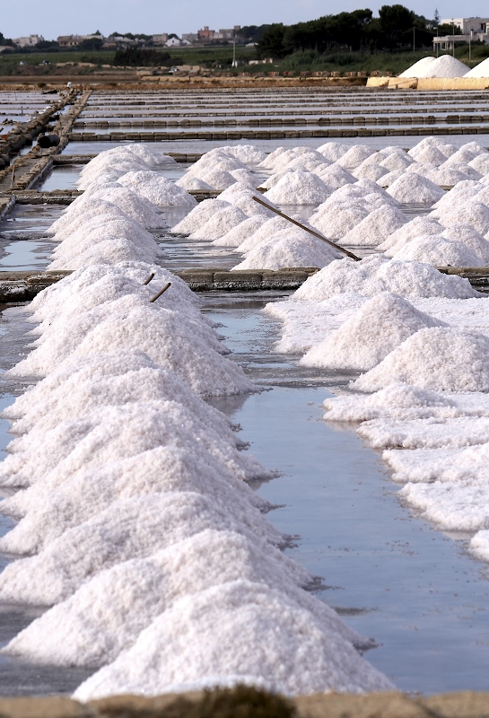 Argini: dizionario, significato e curiosità