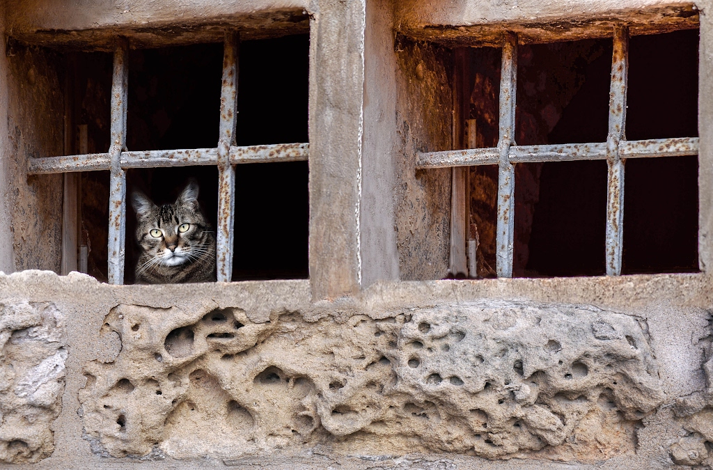 Grata: dizionario, significato e curiosità