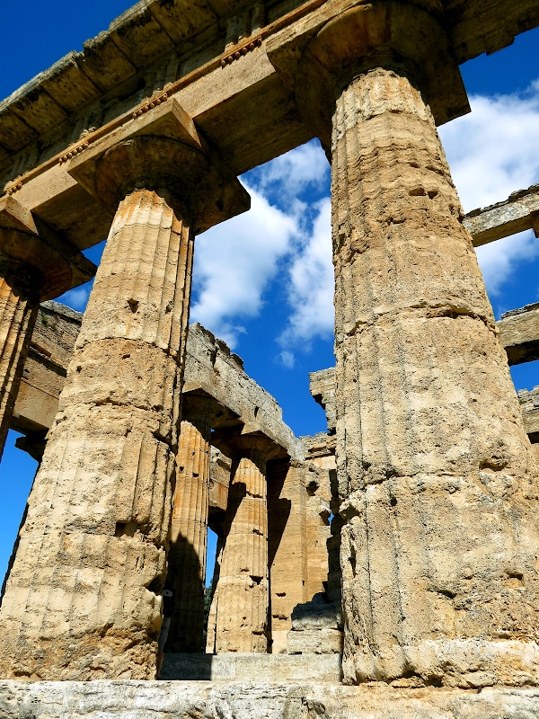 Fusto: dizionario, significato e curiosità