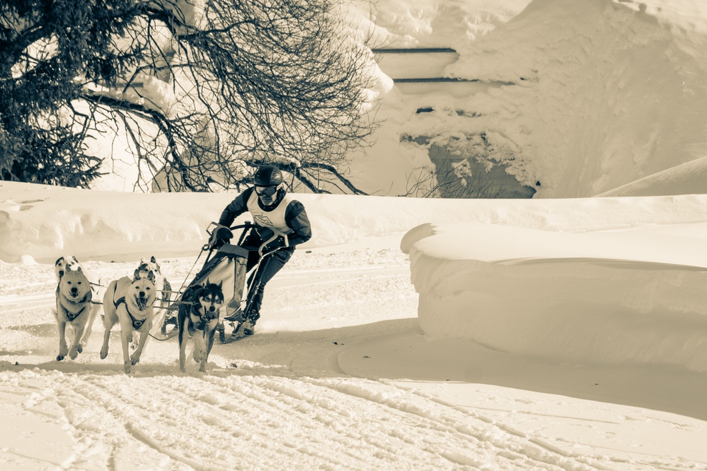 Slitta: dizionario, significato e curiosità