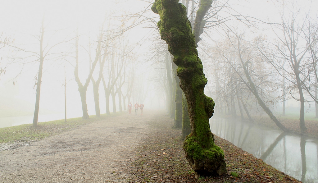 Bruma: dizionario, significato e curiosità