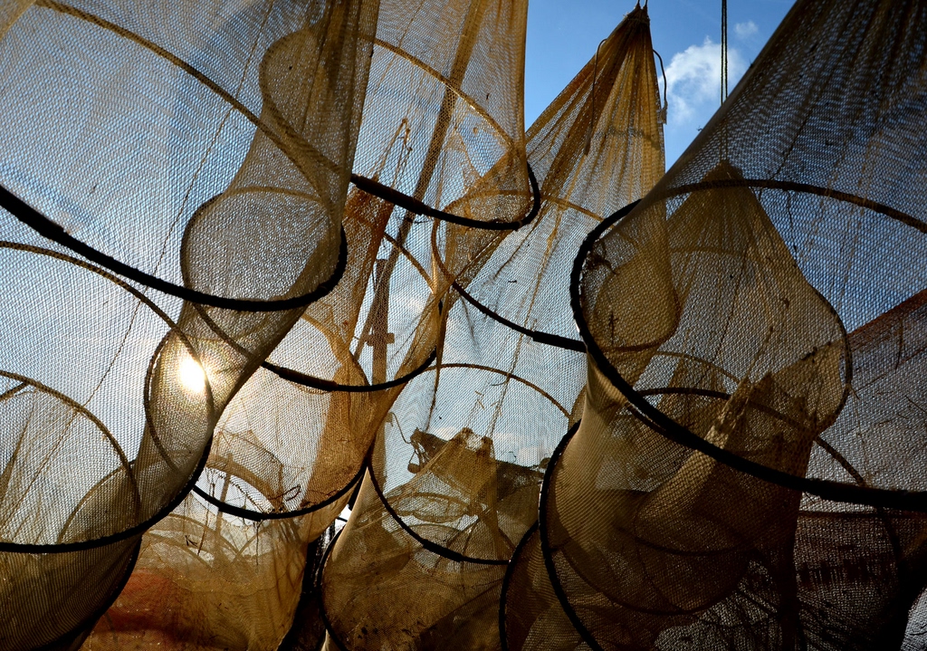 Nasse: dizionario, significato e curiosità