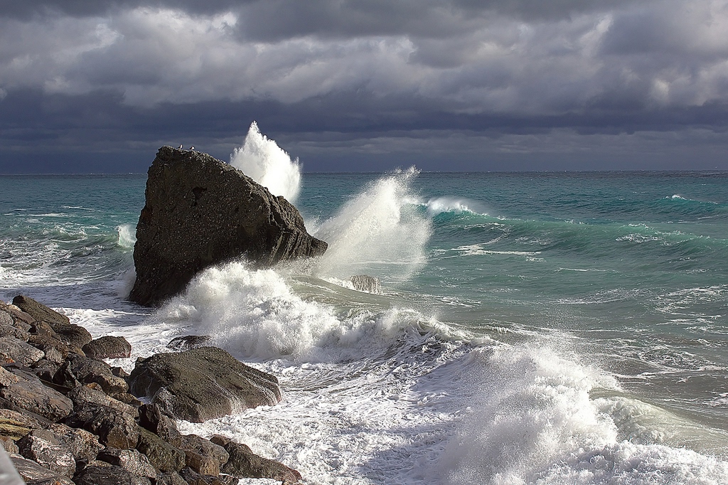 Mosso: dizionario, significato e curiosità