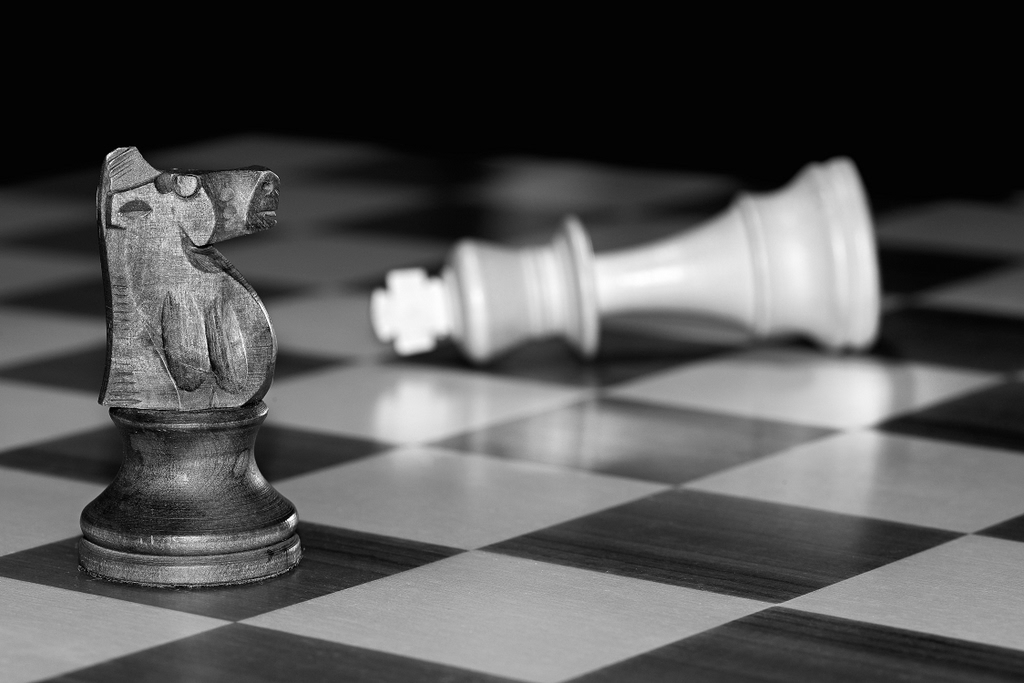 Matto: dizionario, significato e curiosità