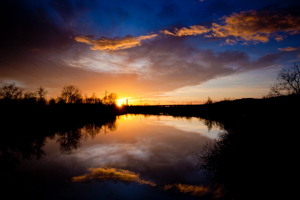 Stagno: dizionario, significato e curiosità