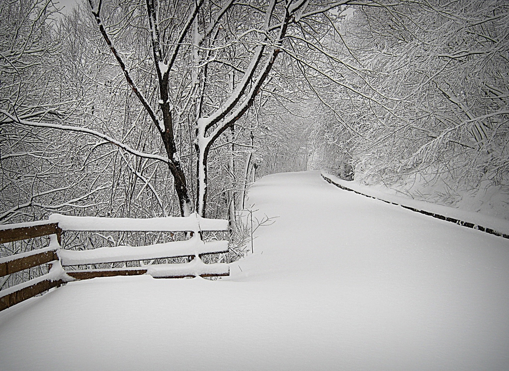 Innevata: dizionario, significato e curiosità