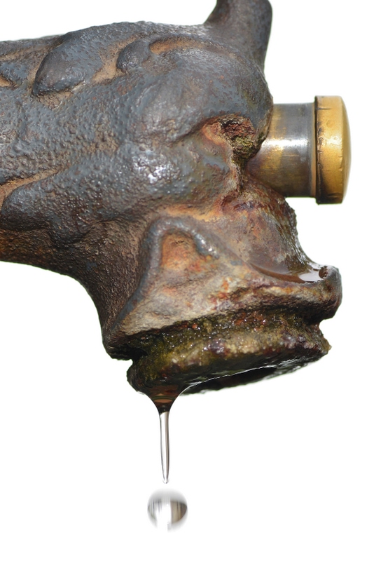 Pulsante: dizionario, significato e curiosità