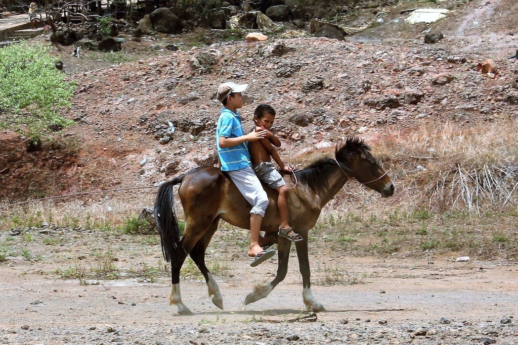 Groppa: dizionario, significato e curiosità