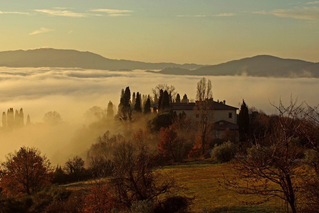 Alba: dizionario, significato e curiosità
