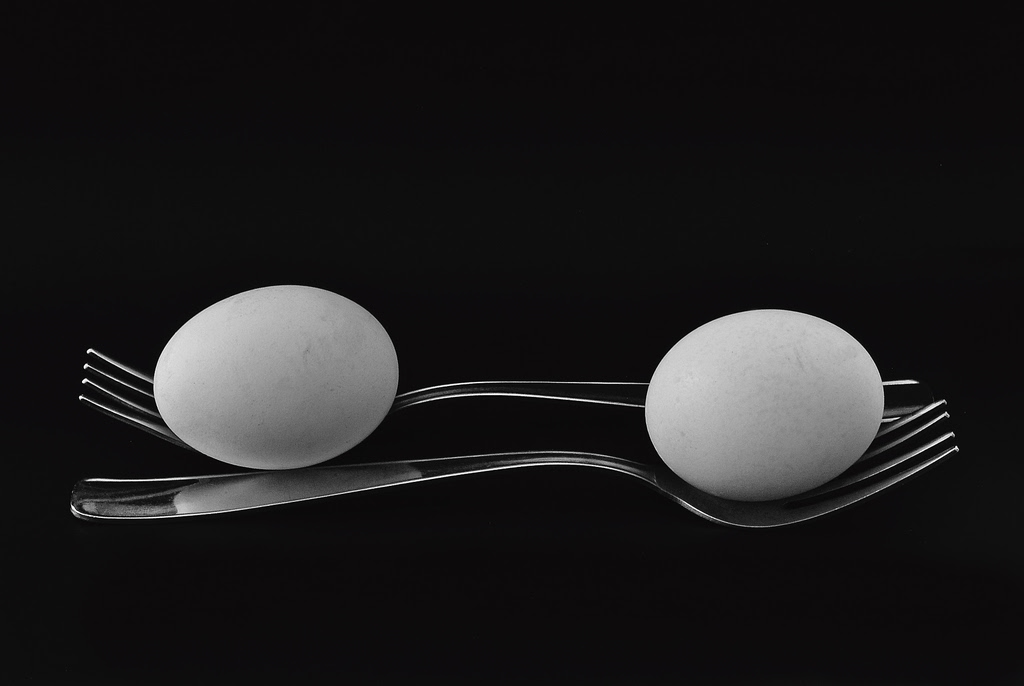 Rebbi: dizionario, significato e curiosità